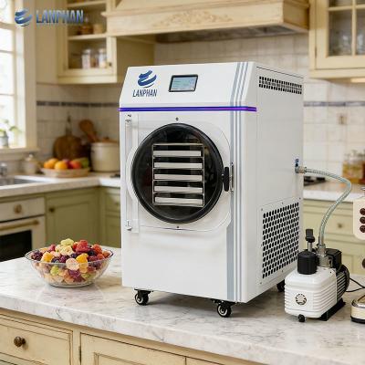 China Home Use 5 Trays Vacuum Freezer Dryer Small Lyophilizer Foods Drying Machine for sale