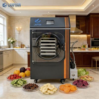 China Home Use Vacuum Freeze Dryer Machine with Vaccum Pump for Food Fruit Vegetable for sale