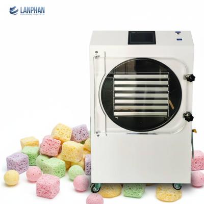 China High Efficiency 3.5 M2 Stainless Steel 14 Trays HFD-35 Food Freeze Dryer for sale