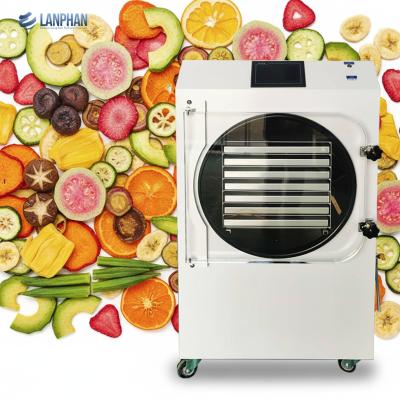 China High-Efficiency 14 Trays & 50-55 KG/24H Ice Capacity HFD-35 Freeze Drying Machine for sale