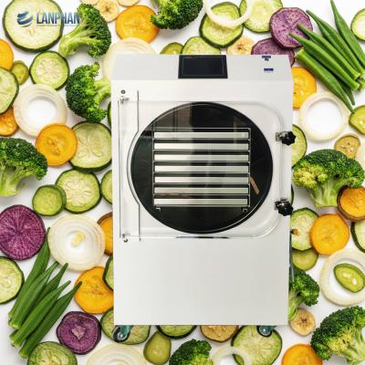 China Industrial Freeze Dryer with Embraco Compressor &-55°C Cold Trap Temperature for sale