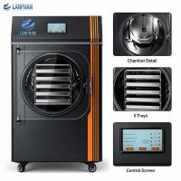 China Mini Automatic Home Food Freeze Dryer with Vacuum Freeze Drying System for sale