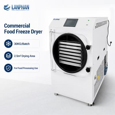 China 2.5M2 High-Capacity Vacuum Freeze Dryer for Long-Term Food Preservation for sale