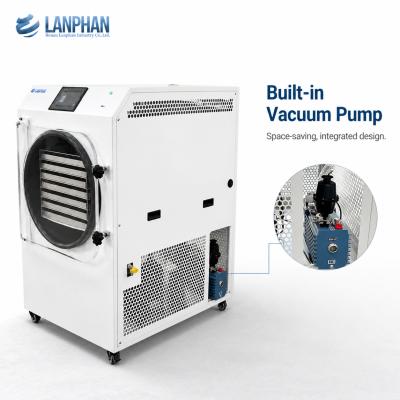 China HFD-25 Food-Grade Home Freeze Dryer 30KG Capacity Vacuum Lyophilizer for sale