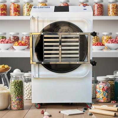China Commercial 14 Trays Food Dehydrator Vacuum Freeze Dryer HFD-40 for Small Business for sale