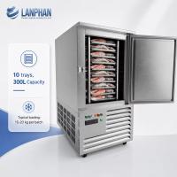 China 300L Single Door Blast Freezer 10 Trays Ultra Low Temp Food Freezing Machine for sale