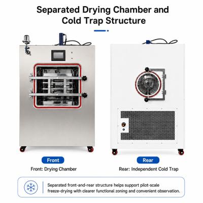 China Automatic Stoppering Freeze Dryer Pilot Lyophilizer with Precision Temperature Control for sale