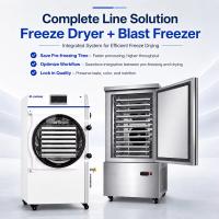 China LANPHAN 25-30kg Capacity Stainless Steel Freeze Dryer with 2.5m² Tray Space for sale