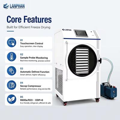 China -60°C 12–14kg/Batch Small Commercial Freeze Dryer Lyophilizer for Food Preservation for sale