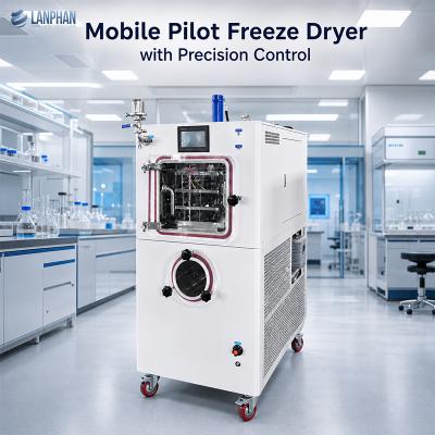 China Pilot Scale Freeze Dryer 0.3m² Pharmaceutical Lyophilizer with Real-Time Temperature Monitoring and Stainless Steel Construction for sale