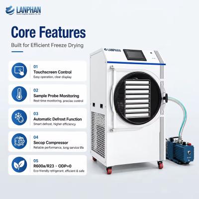 China 10kg Small Vacuum Freeze Dryer Lyophilizer Machine with 220V/110V and 15Pa Vacuum Degree for Home Fruit Vegetable Drying for sale