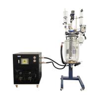 China Big 50l Glass Reactor Jacketed Laboratory Lifting Reactor Vessel for sale