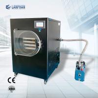 China 220V Home Vacuum Freeze Dryer Fruit Liquid Freeze Dried Maker for sale