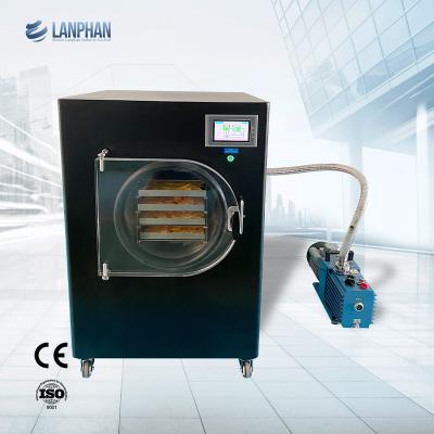 China 50HZ Sublimation Home Vacuum Freeze Dryer Machine 750W For Food for sale