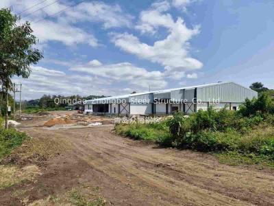 China Innovative Steel Structure Building Construction for Large Span Industrial Warehouses and Modular Commercial Buildings for sale