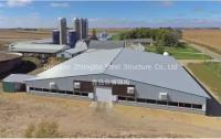 China Storage capacity enhanced High Intensity Steel warehouse for sale