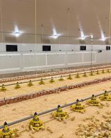 China Durable Prefabricated Steel Structure Poultry House with Customizable Design and Easy Installation for sale