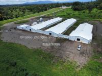 China Customizable Prefabricated Steel Structure Poultry House with Robust Structural Design for Chicken Farming for sale