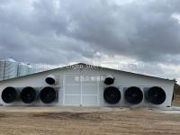 China Prefabricated Steel Structure Poultry House with Durable Materials and Easy Assembly for Chicken Farming for sale