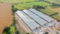 China Customizable Steel Structure Poultry House with Durable Prefabricated Frame for Easy Assembly Chicken Farming for sale