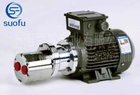 China SS316 PEEK Gear Miniature Gear Pump Steam Generator Feed Pump Water Pump for sale