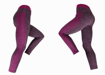 China 230gsm Yoga Leggings with Pink Contrast Melange - 4 Fabric Options from 230-315gsm, XS-XXL Sizes for sale
