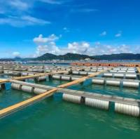 China GB S35886 (QN1906)：Coastal Petrochemical Special Nickel-Saving Stainless Steel for sale