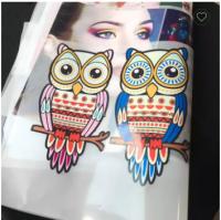 China Sublimation Pet Matte Vinyl Heat Transfer Film Dft Printable  60cm x 100m for sale