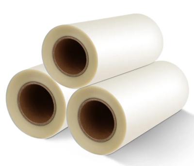 China 60cm 30cm Dtf Printer Film Paper Heat Transfer A3 Dtf Pet Film Roll for sale