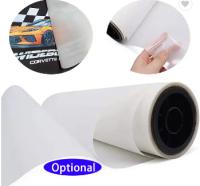 China Multiple Size Hot Cold Peel Pet Film Transfer Paper For Dtf Printing for sale
