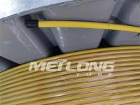 China PVDF Encapsulated Control Line Duplex Stainless Steel Capillary Tubing for sale