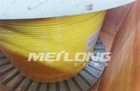China UNS S32750 Encapsulated Control Line Super Duplex 2507 Rilsan Nylon for sale