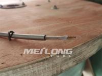 China SS316L Encapsulated Cable UNS S31603 Tubing Encapsulated Conductor For Downhole for sale
