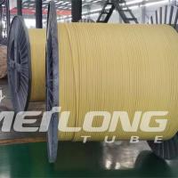 China TP316L PVDF Encapsulated Control Line Flatpack With Two Tubes  High Pressure for sale