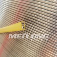 China TP316L PVDF Encapsulated Control Line Flatpack With Two Tubes  High Pressure for sale