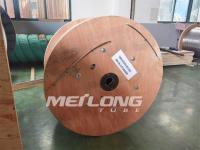 China PFA Insulation Nickel Alloy Encapsulated Cable Conductor For Down Hole for sale