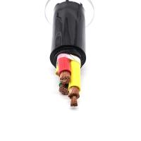 China BV 500 Meters 2-5 Core Copper PVC PE Conduit Cable for Electrical Household Appliances for sale