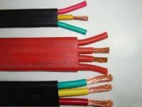 China Single Core PVC Insulated Cable Wire for Building/Construction Rated Voltage 450V/750V for sale