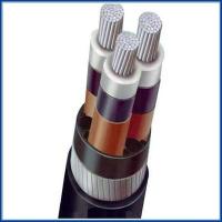 China Standard Copper XLPE Insulated Power Cable with PVC PE Jacket YJV YJLV YJLV22 YJV22 for sale