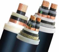China Stranded Conductor Hv Power Cable PVC Jacket 5x6mm2 Underground Electrical Wire for sale