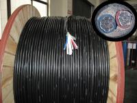China Stranded Conductor Hv Power Cable PVC Jacket 5x6mm2 Underground Electrical Wire for sale
