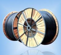 China Black 110kV XLPE High Voltage Underground Cable 50mm For Construction for sale