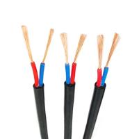 China Multi Conductor Flexible Cable RVV 2 3 4 5 Core 0.75 1 1.5 2.5 4 6 MM Power Wire for sale