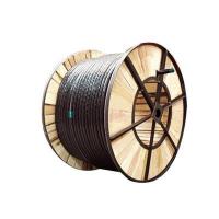 China Customized Length Heating 0.6/1kv XLPE Insulated PVC Sheathed Cu Conductor 4X25 1X16mm for sale