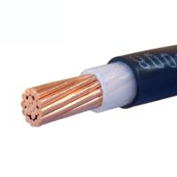 China Customized Length Heating 0.6/1kv XLPE Insulated PVC Sheathed Cu Conductor 4X25 1X16mm for sale