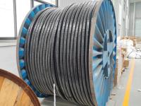 China Versatile 10-400sqmm Copper NYY/NYM Armoured Power Cable with GB/T12706.1-2008 Standard for sale