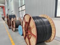 China GB/T12706.1-2008 Standard Nyy/Yvv 0.6/1kv Power Cable with Pure Copper Conductor for sale