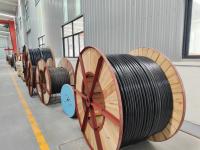 China Low Voltage NYY 3x2.5 4x6 4x10 2x6 5x6mm2 Electric Cable with Pure Copper Conductor for sale