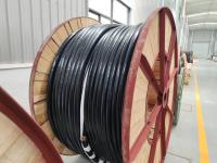 China Low Voltage NYY 3x2.5 4x6 4x10 2x6 5x6mm2 Electric Cable with Pure Copper Conductor for sale