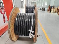 China NYFGBY NYY 1000V Mining Power Cable PVC Jacket For Power Distribution for sale